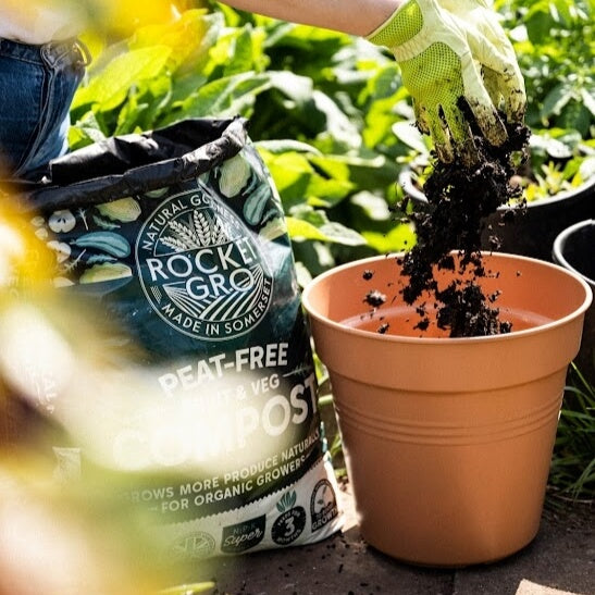 Rocket-Gro Fruit & Veg Compost 40l – Country Gardener