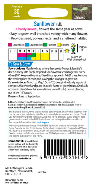 Mr Fothergills Sunflower Hallo Seeds – Country Gardener