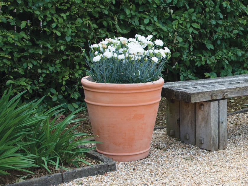 Madison Pot – Country Gardener